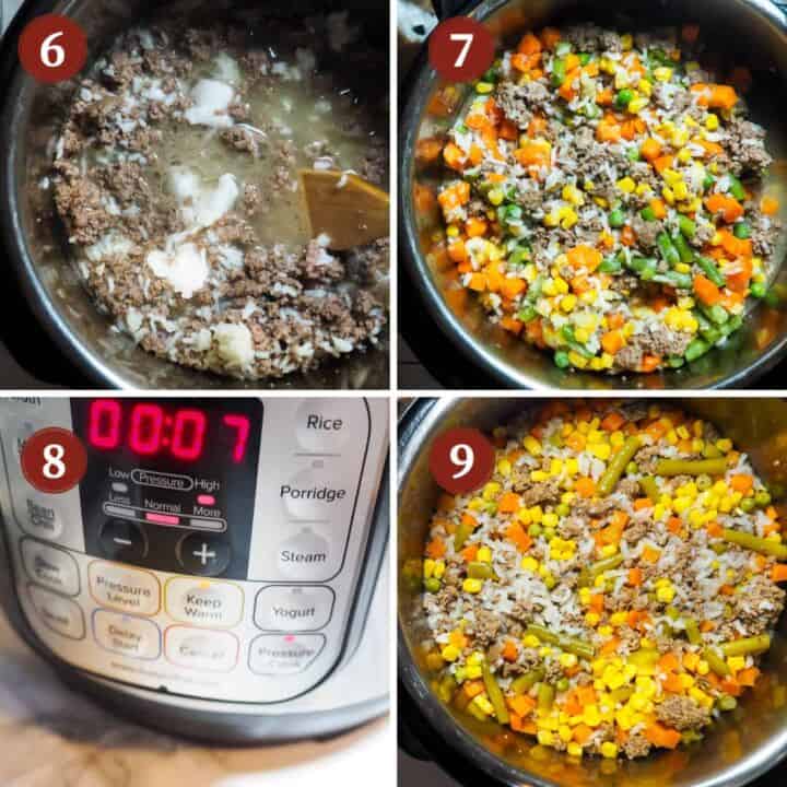 Instant Pot Easy Homemade Dog Food Recipe - Southern Bytes