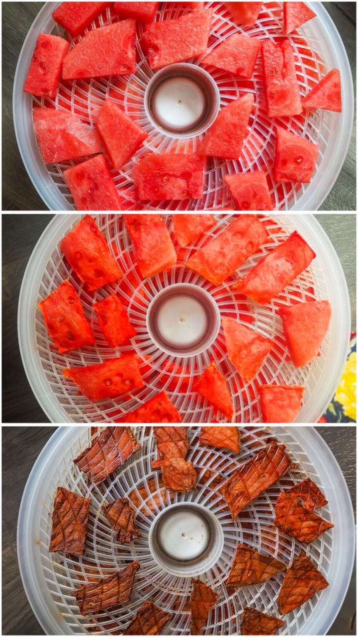 Dehydrated Watermelon - Southern Bytes