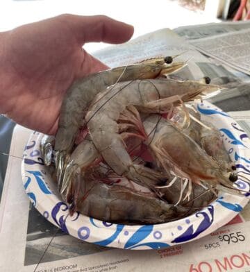 New Orleans BBQ Shrimp - Southern Bytes