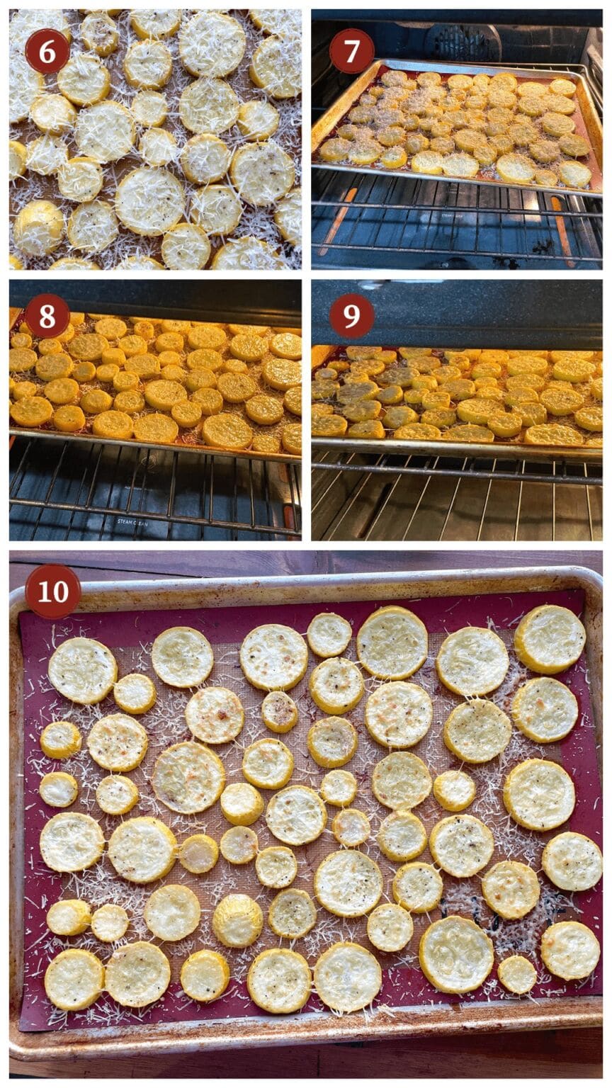 Oven Roasted Squash Recipe - Southern Bytes