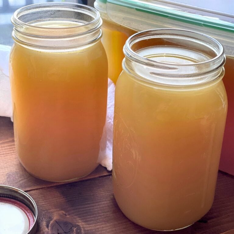 Instant Pot Turkey Stock Recipe (or Broth) - Southern Bytes