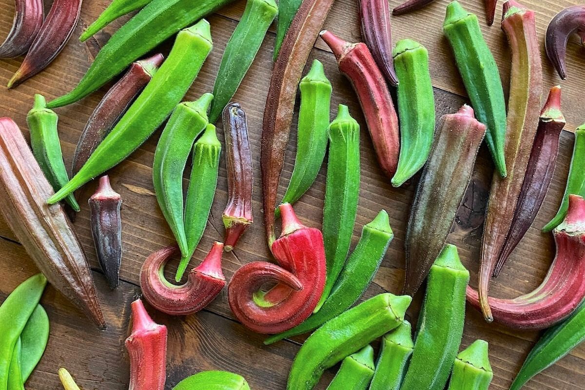 8 Irresistible Okra Recipes to Make Before Summer Ends - Southern Bytes